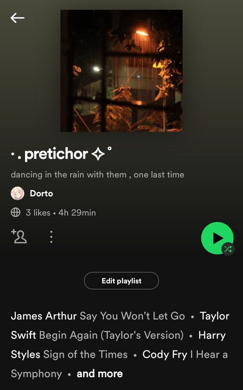 Custom Comfort Character Playlist Digital - Etsy