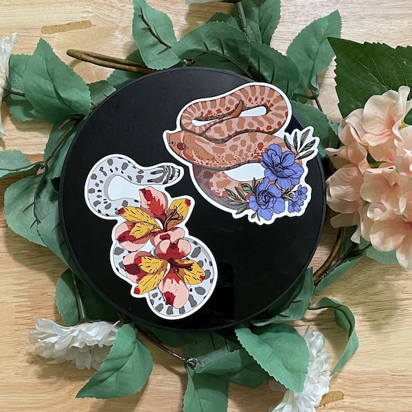 Western Hognose Snake Stickers - Etsy