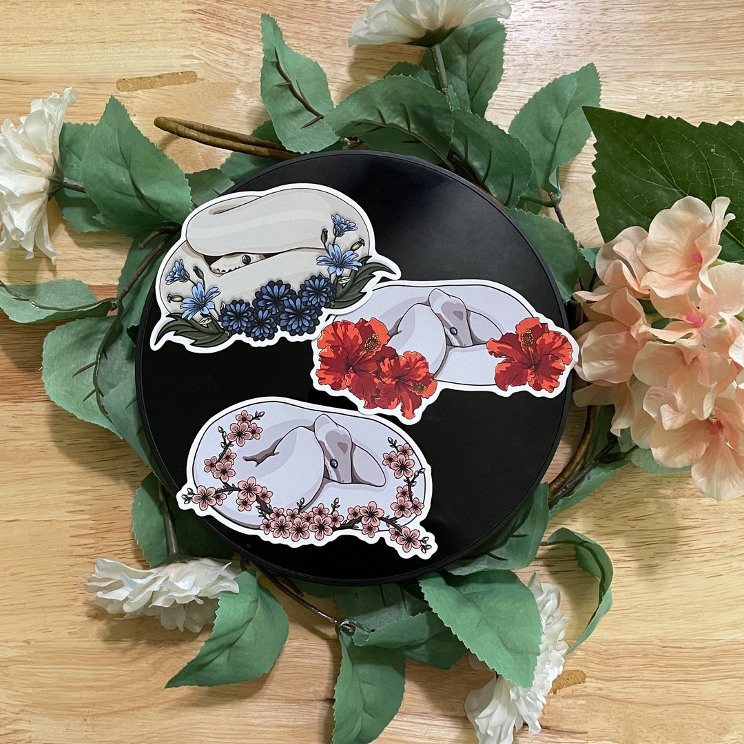 Blue-eyed Lucy Ball Python Stickers - Etsy