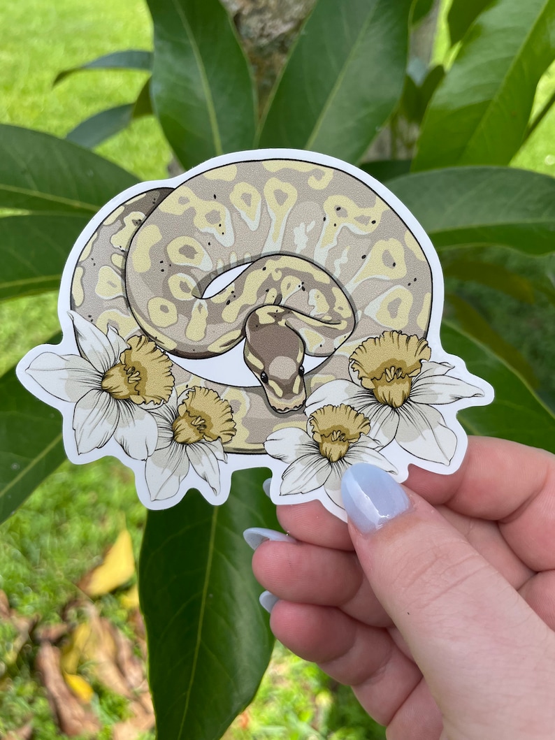 Banana Ball Python Stickers - Etsy