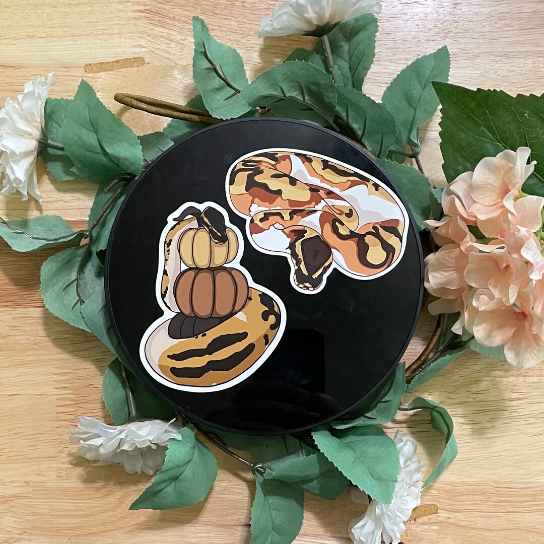 Pied Ball Python Stickers - Etsy