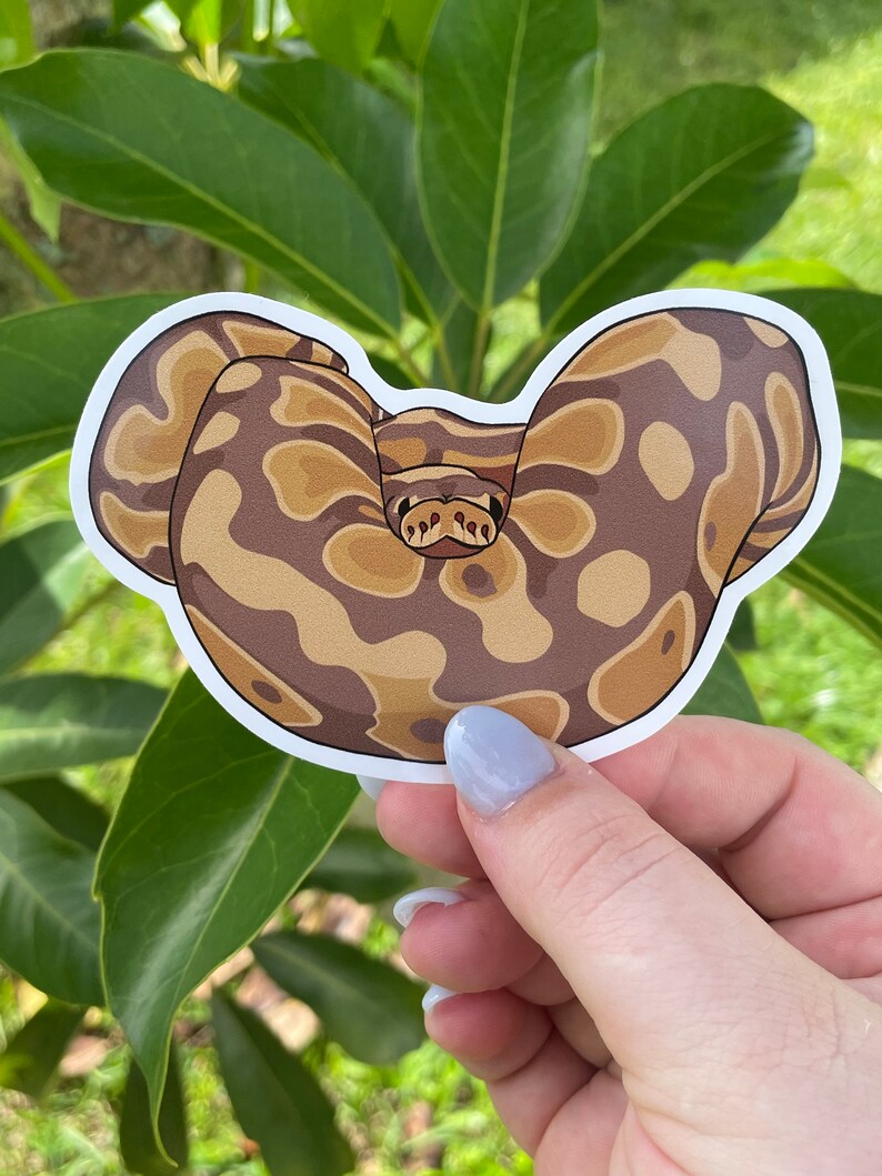 Banana Ball Python Stickers - Etsy