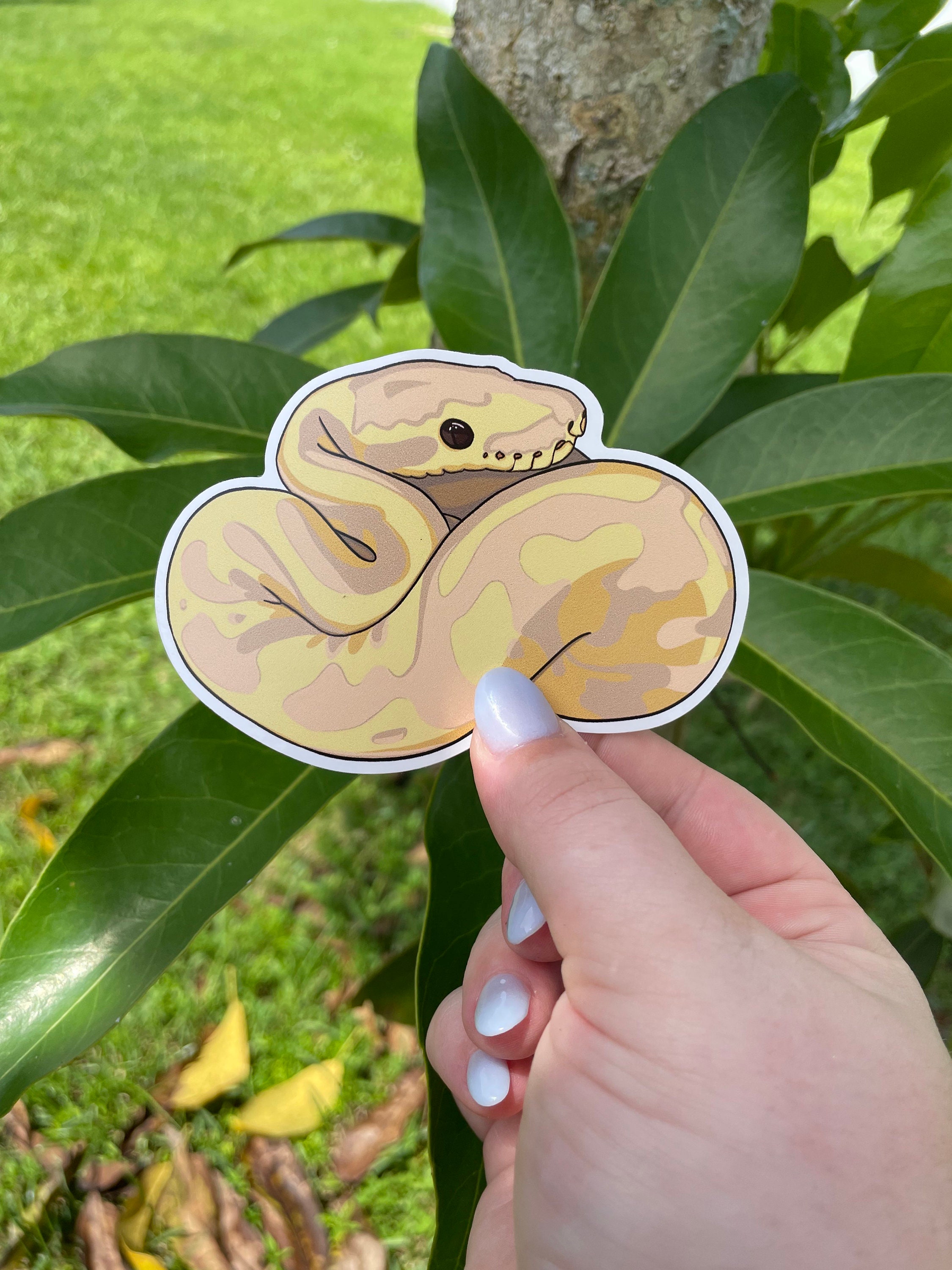 Banana Ball Python Stickers - Etsy