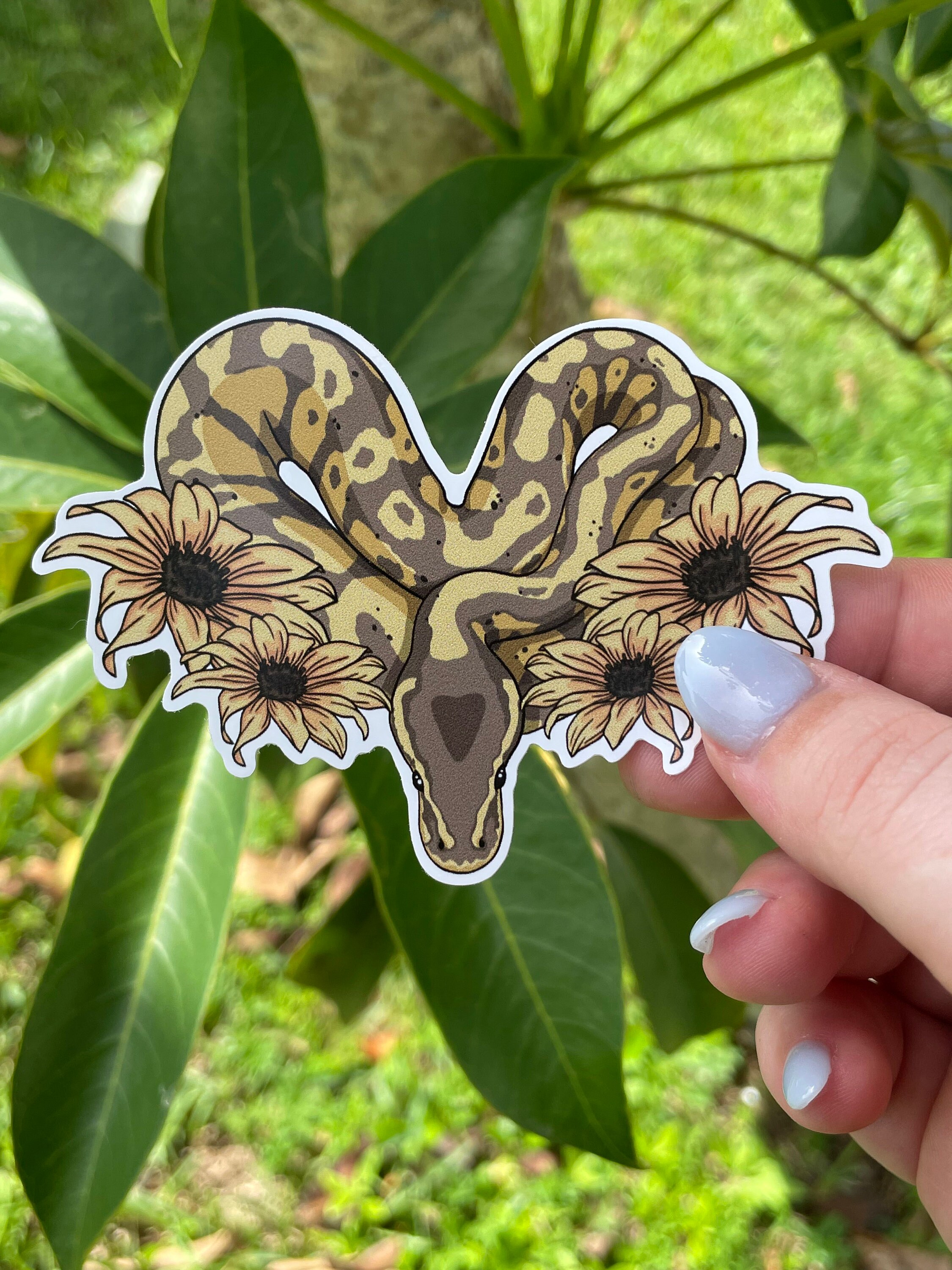 Banana Ball Python Stickers - Etsy
