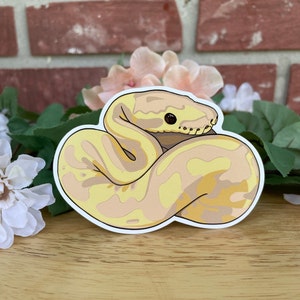 Banana Ball Python Stickers - Etsy
