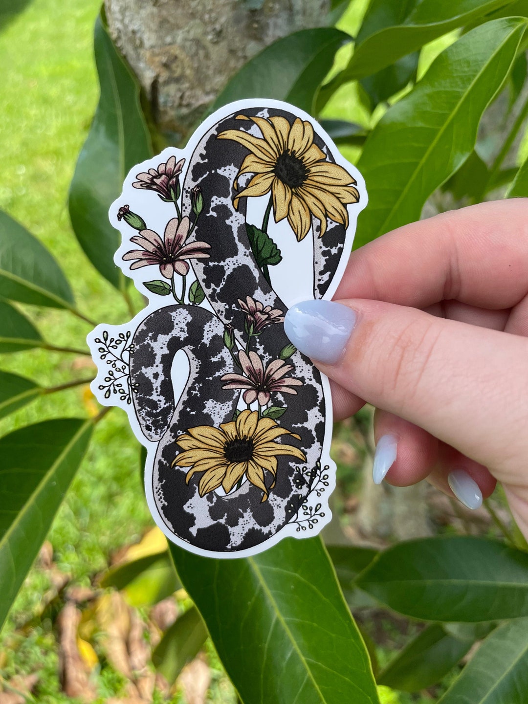 Kenyan Sand Boa Sticker - Etsy