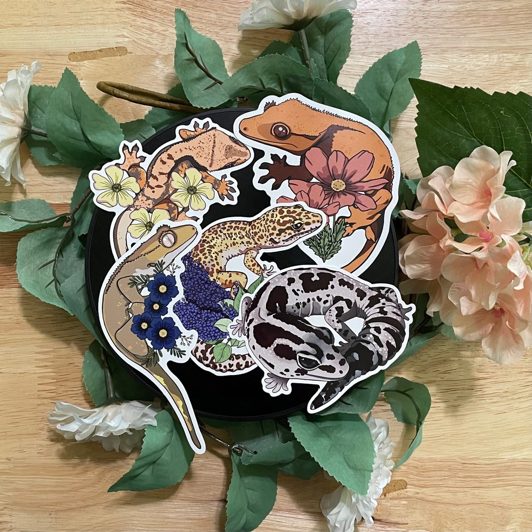 Gecko Stickers (crested, Leopard and Fat Tail Geckos) - Etsy