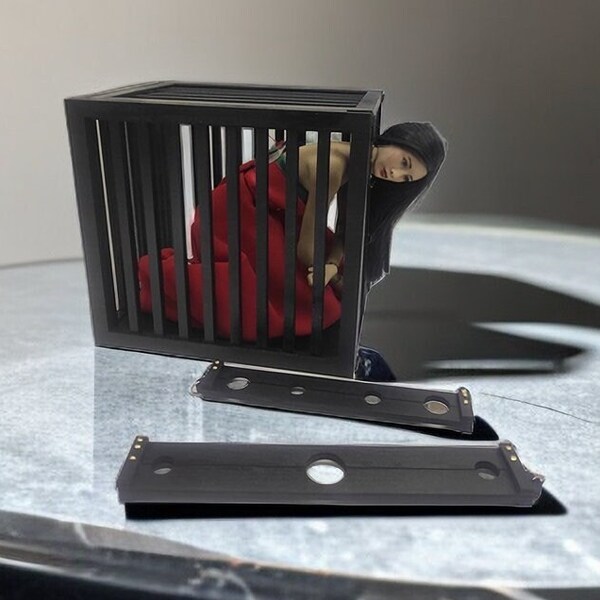 Punishment Cages - Etsy