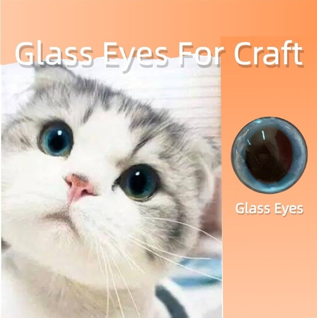 Realistic Animal Eyesrealistic Glass Eyesrealistic Eyes for - Etsy