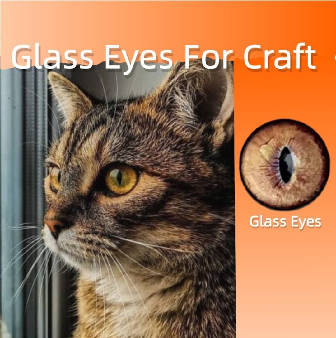Realistic Animal Eyesrealistic Glass Eyesrealistic Eyes for - Etsy