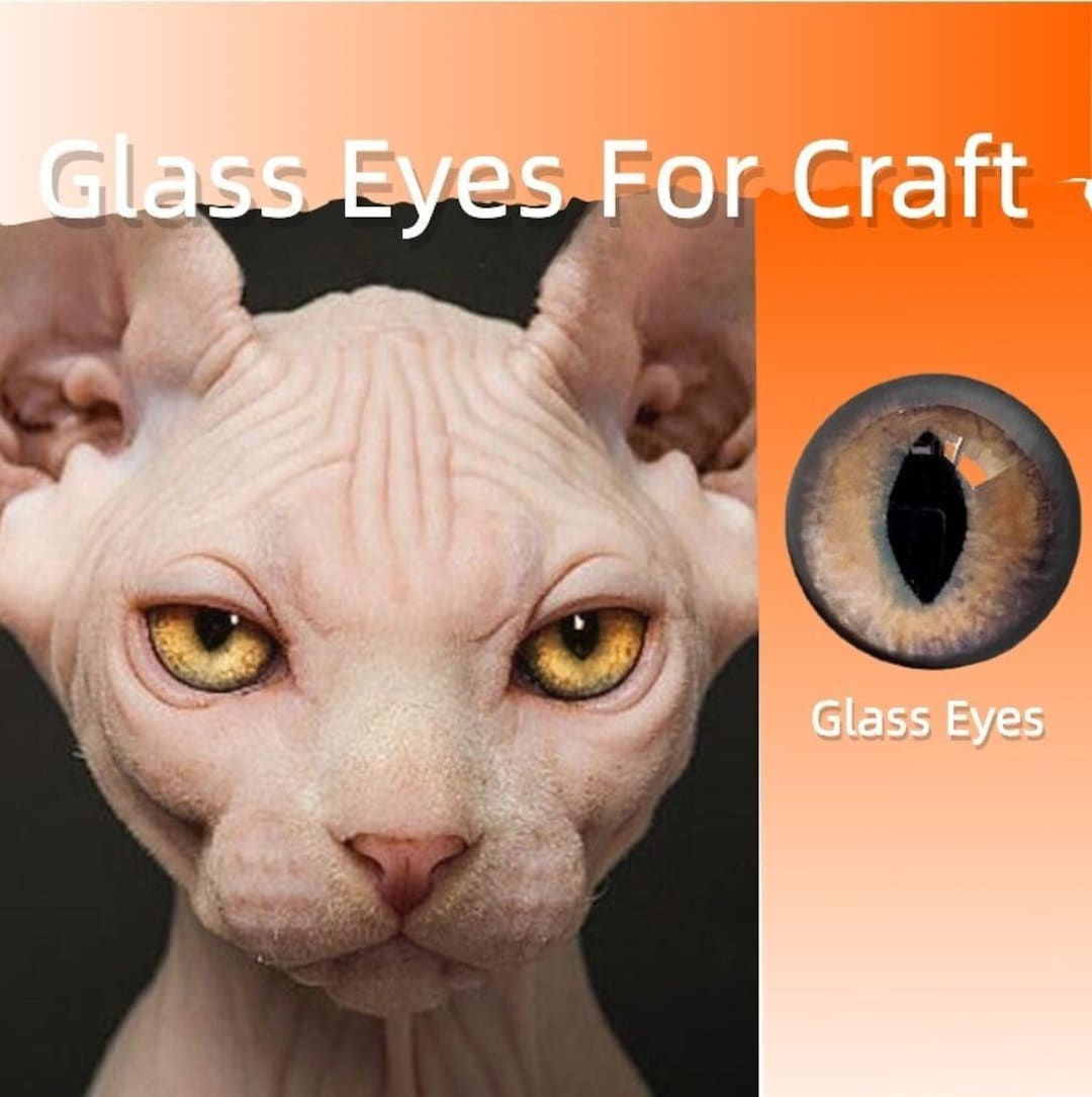 Realistic Animal Eyesrealistic Glass Eyesrealistic Eyes for - Etsy