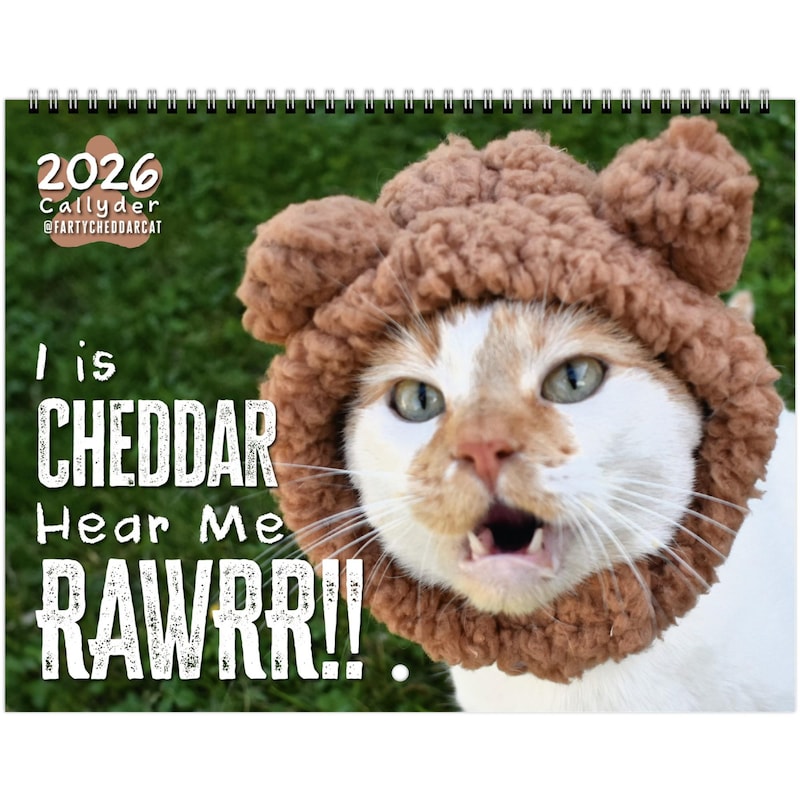 Cat Calendars and Prints - Etsy