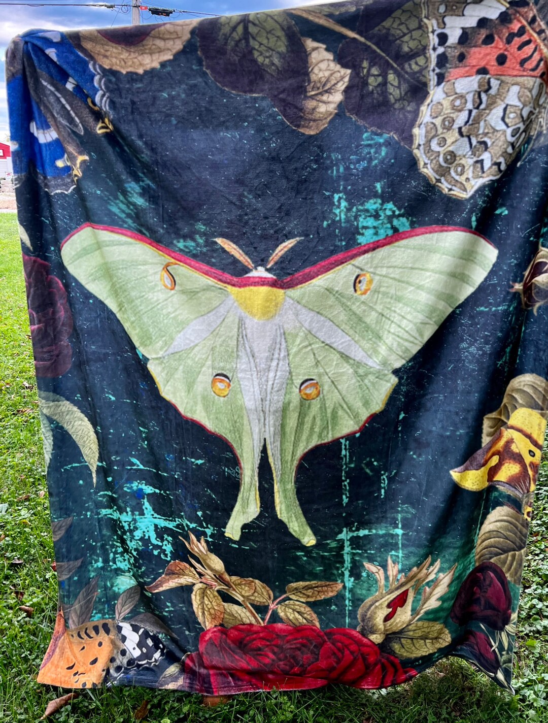 Vintage Aesthetic Luna Moth Throw-style Blanket | Soft Flat Minky ...