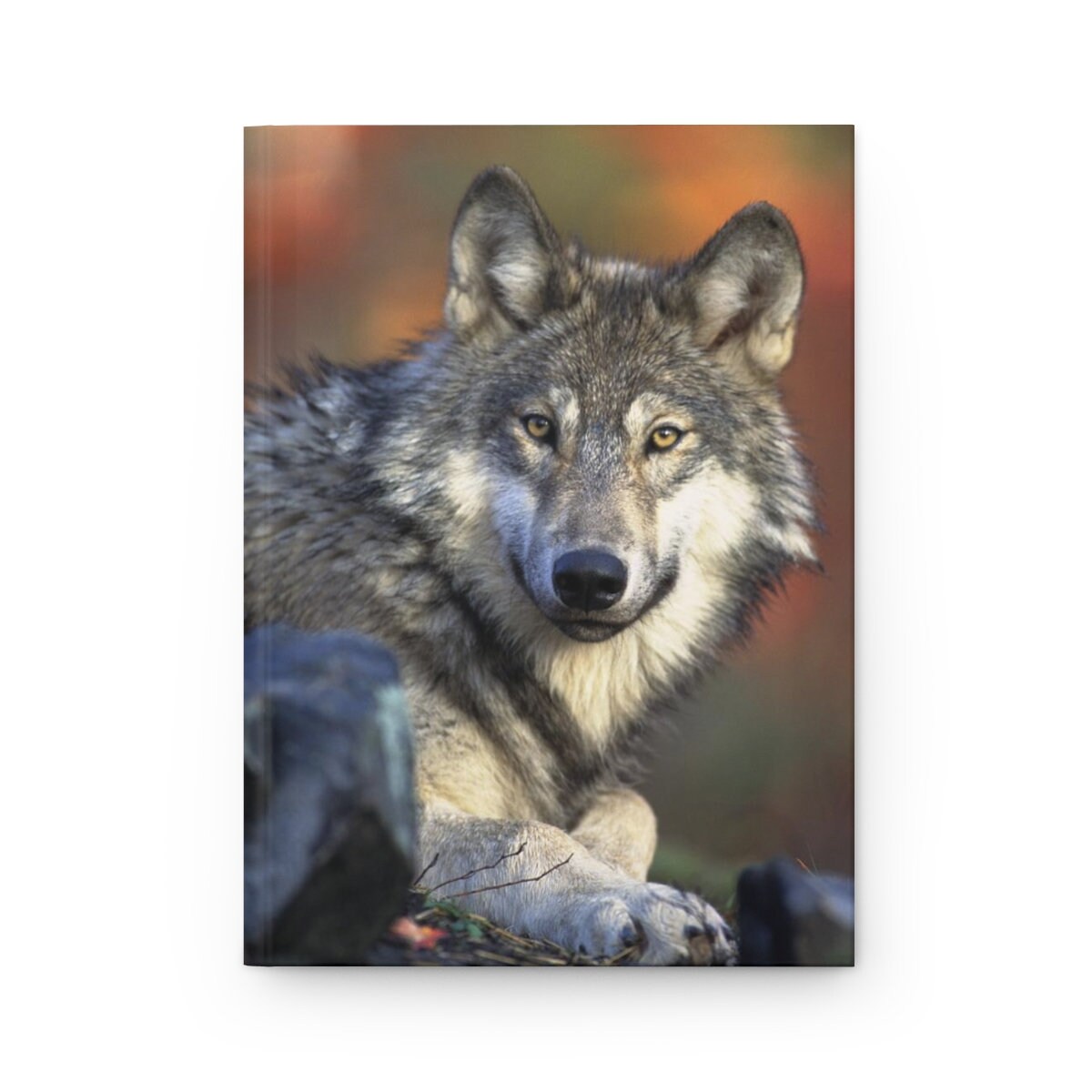 Real Wolf Face Photo Aesthetic Animal Nature Journal | Pretty Witchy ...