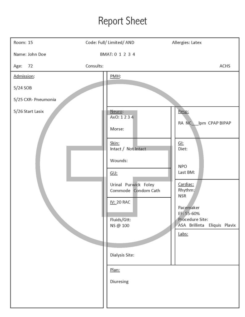 Nursing Report Sheet - Etsy