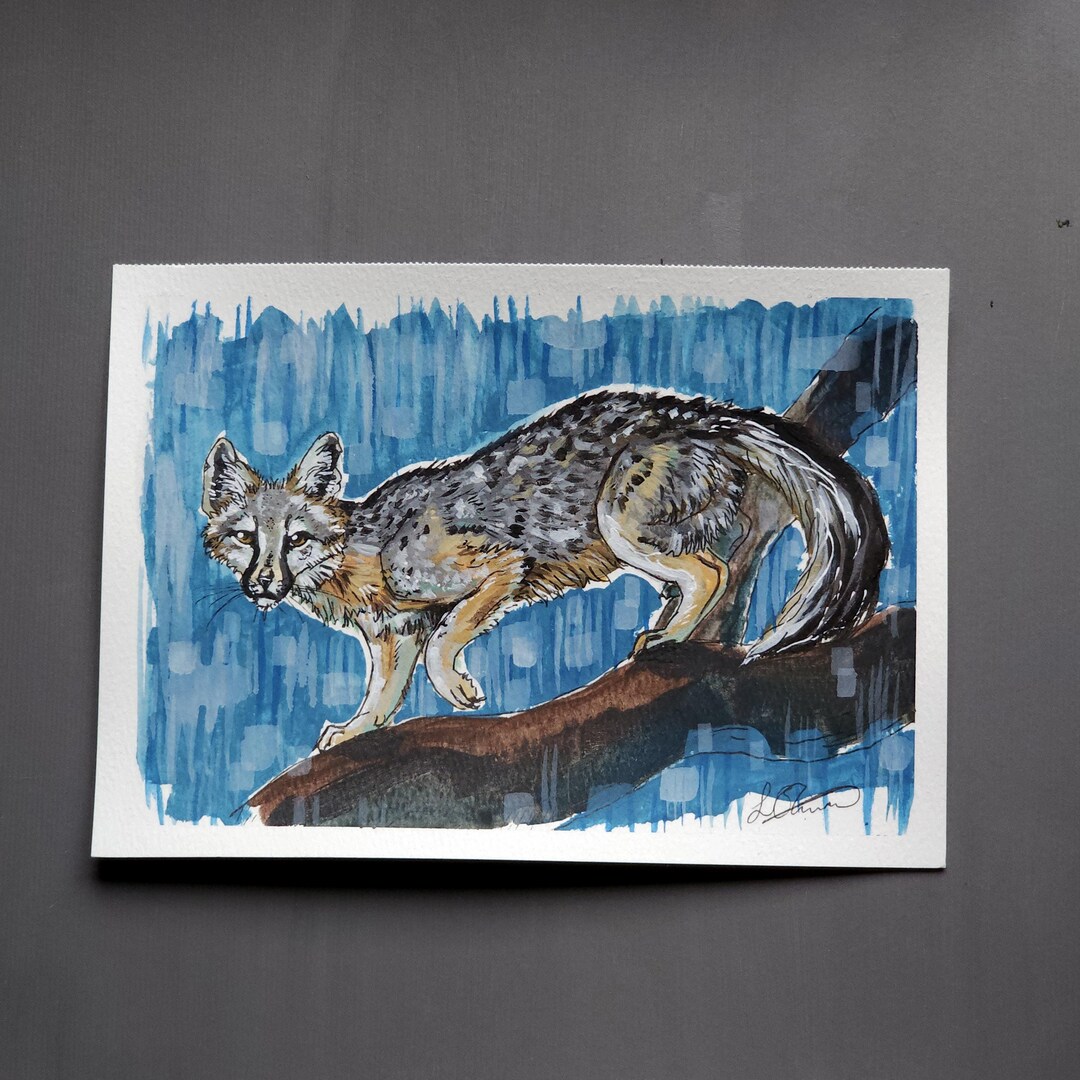 Acrylic Grey Fox Painting | Original Wildlife Artwork | Realistic ...