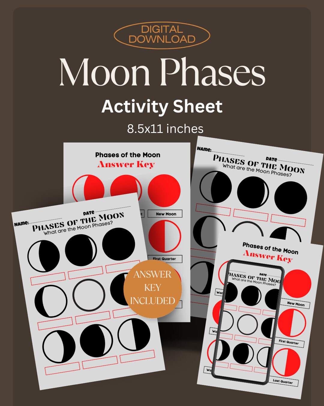Moon Phase Activity Sheet PDF PNG Digital Download Moon - Etsy
