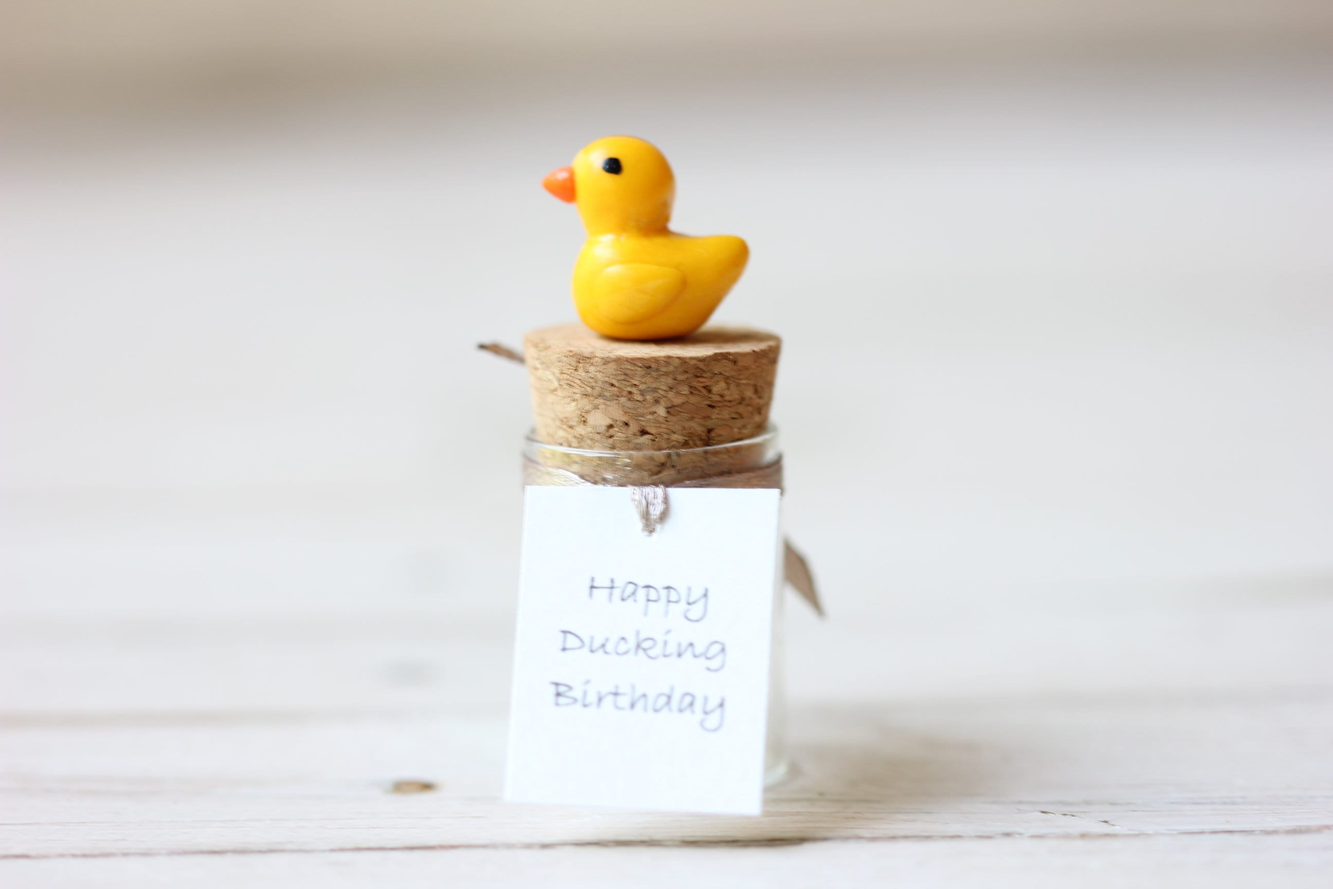 Miniature Duckling in a Bottle, Anniversary Birthday Valentines Day ...