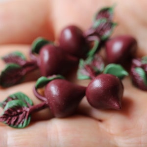 Beetroot Mini Vegetables 1:6 Miniature Food for Dollhouse 5 Pcs Beet ...