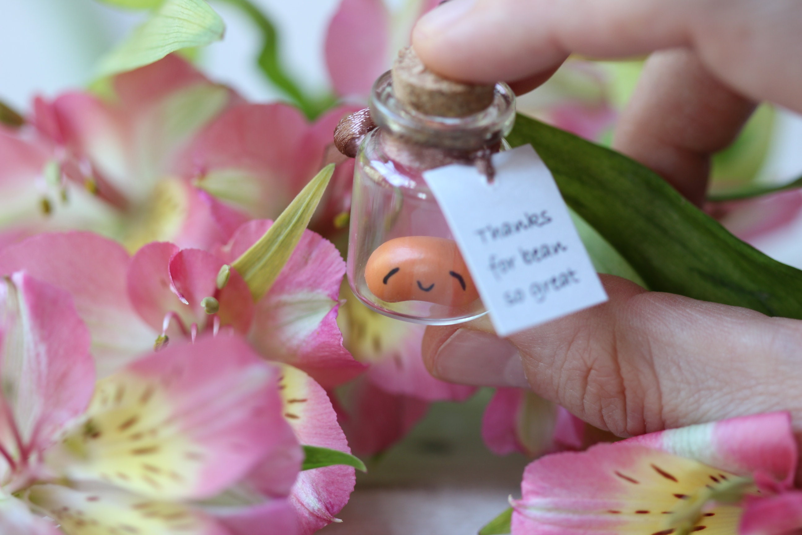 Cute Baked Bean Gift, You Are My Favourite Human Bean, Punny Birthday ...