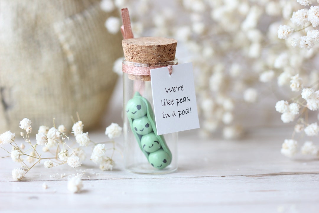Four Peas in a Pod Funny Birthday Gift for Peas Lovers Party Favors ...