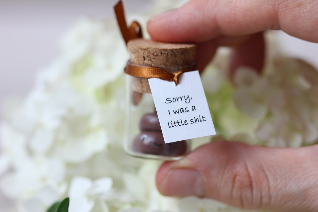 Apology Gift Personalized Poop Gift Wish Jar Funny Crap Boyfriend ...
