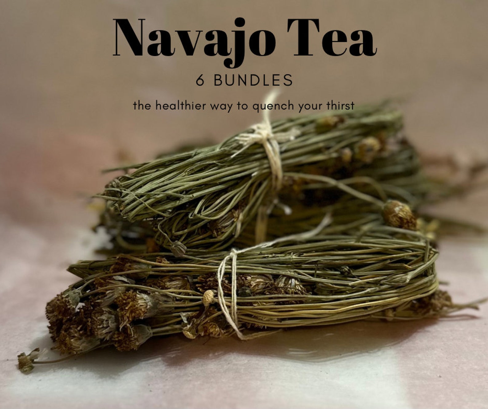 6 Qty Pack of Navajo Tea thelesperma - Etsy
