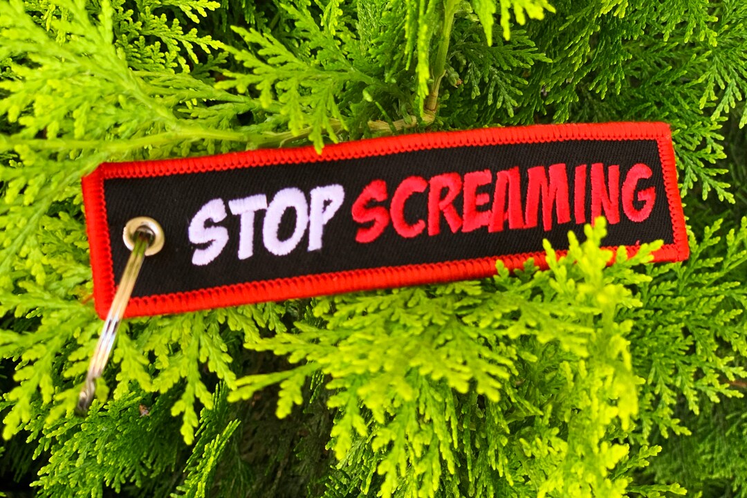Stop Screaming I'm Scared Too Keychain Gift Key Ring Motorbike Key Tag ...