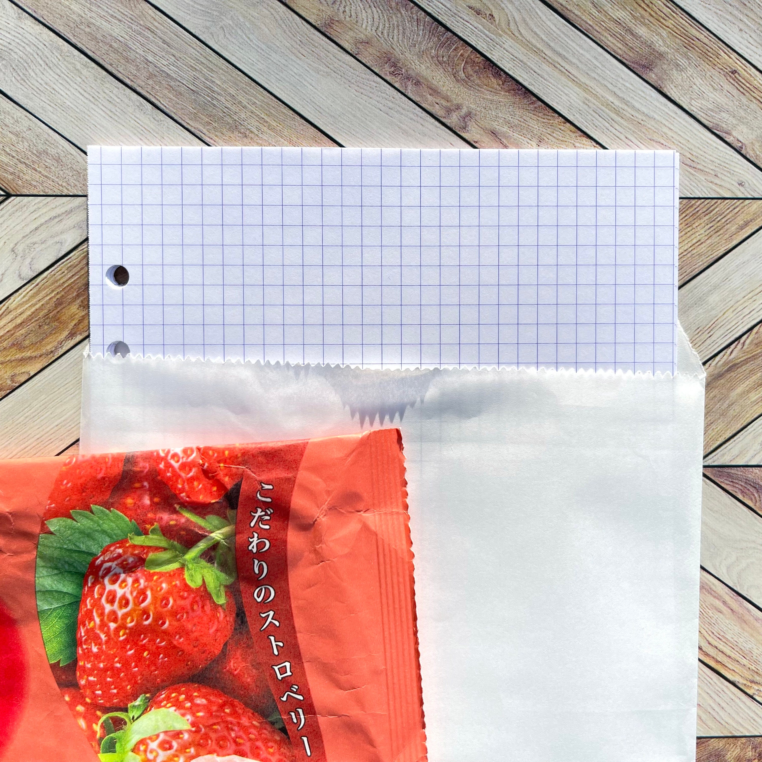 Graph A5 6-ring Binder Filler Paper 20 Sheets for Binder - Etsy