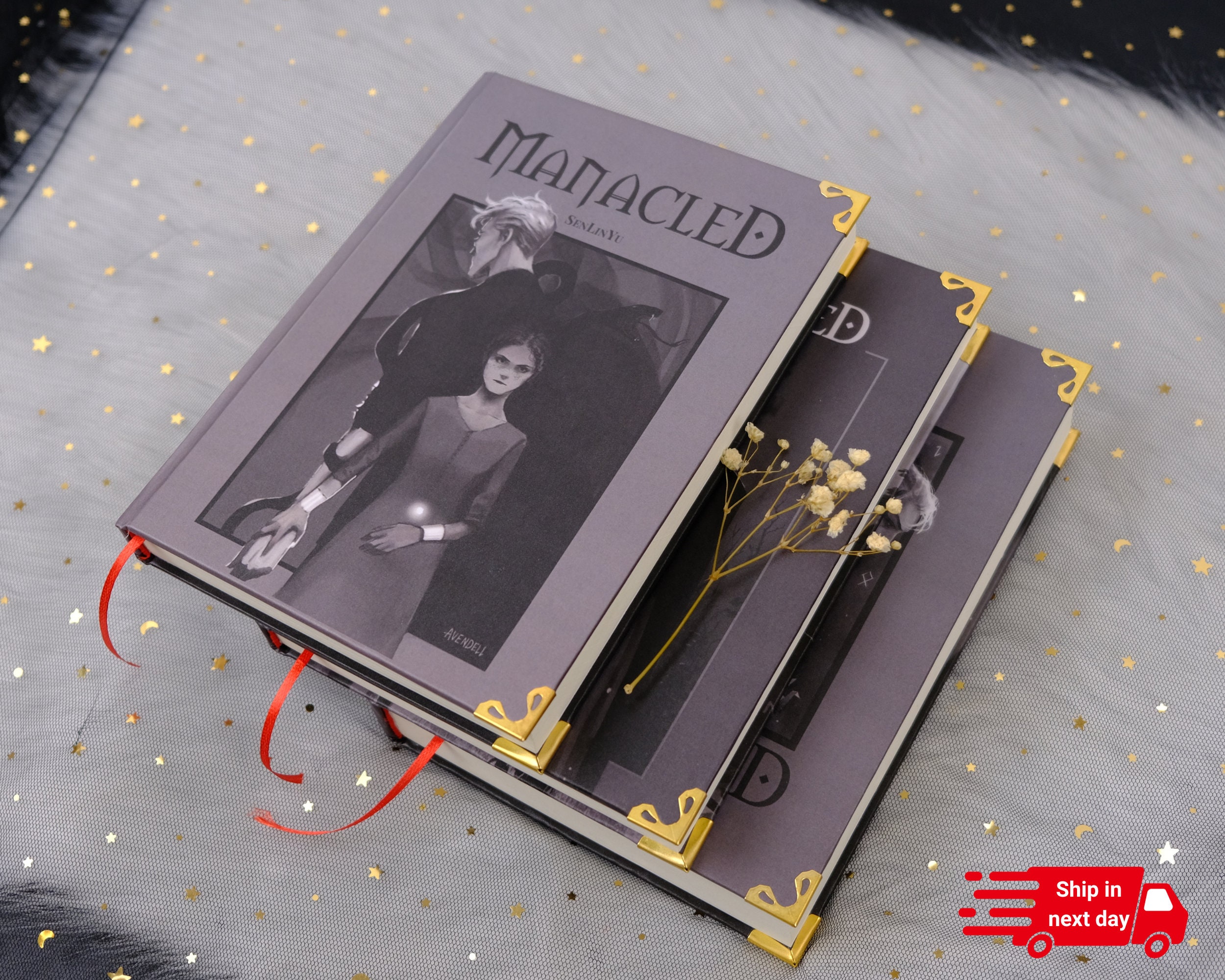Manacled Book: Full 3 Volumes. Complete Version. With Photos - Etsy