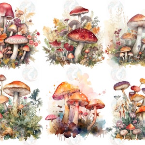 Mushroom Magic Watercolor Clipart - Cute Forest Toadstool Clip Art PNG ...