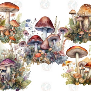 Mushroom Magic Watercolor Clipart - Cute Forest Toadstool Clip Art PNG ...