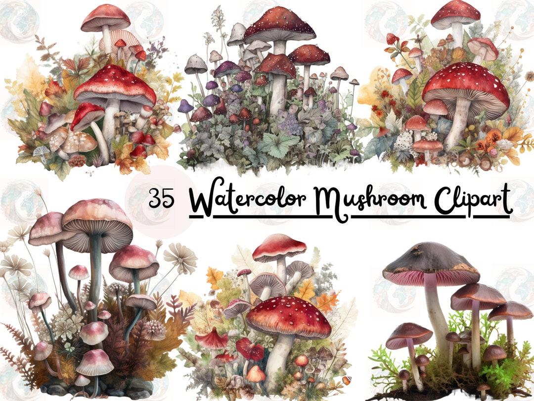 Mushroom Magic Watercolor Clipart - Cute Forest Toadstool Clip Art PNG ...