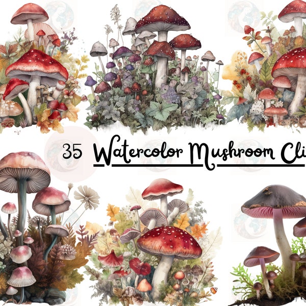 Toadstool - Etsy