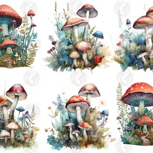 Mushroom Magic Watercolor Clipart - Cute Forest Toadstool Clip Art PNG ...