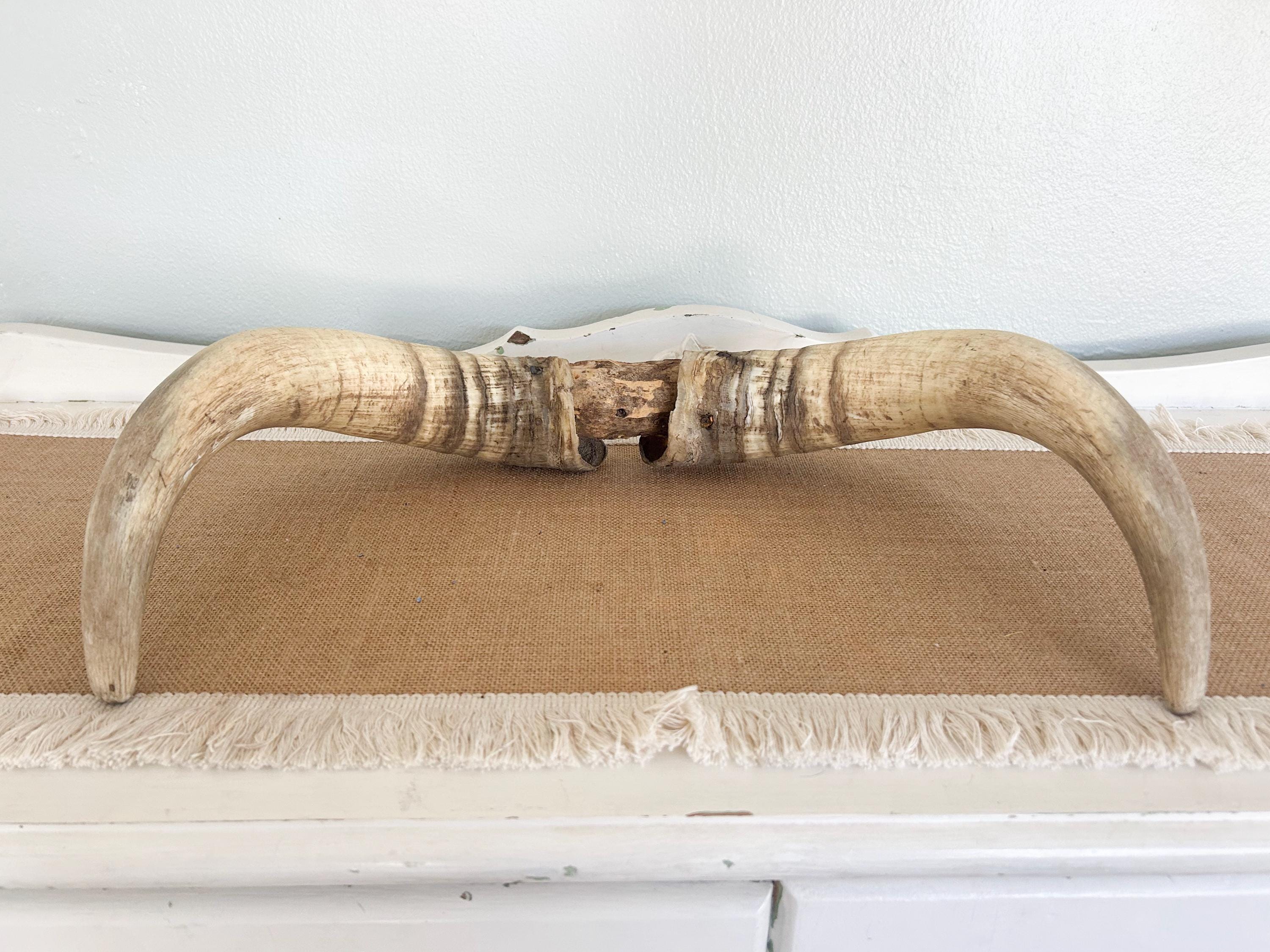 Vintage Western Bull Horns, Mounted Longhorns, Rustic Decor, Farmhouse ...
