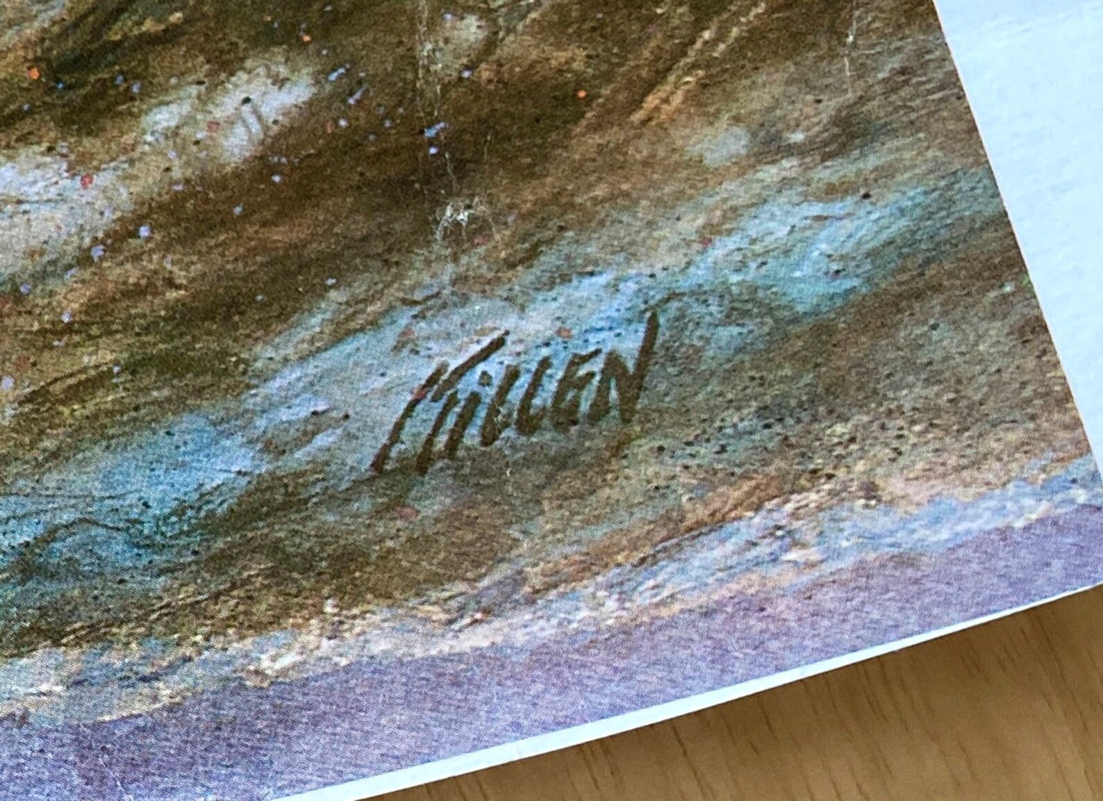 James H. Killen "wood Duck" Frameable Print, 13 In. X 9.5 In. - Etsy