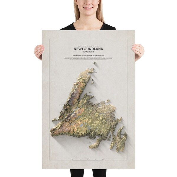 Newfoundland - Etsy