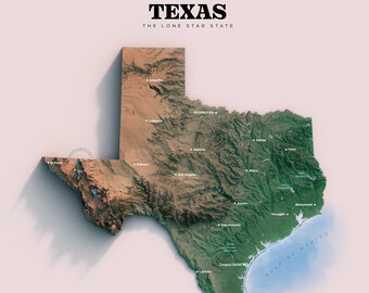 Topography Map of Texas - Etsy