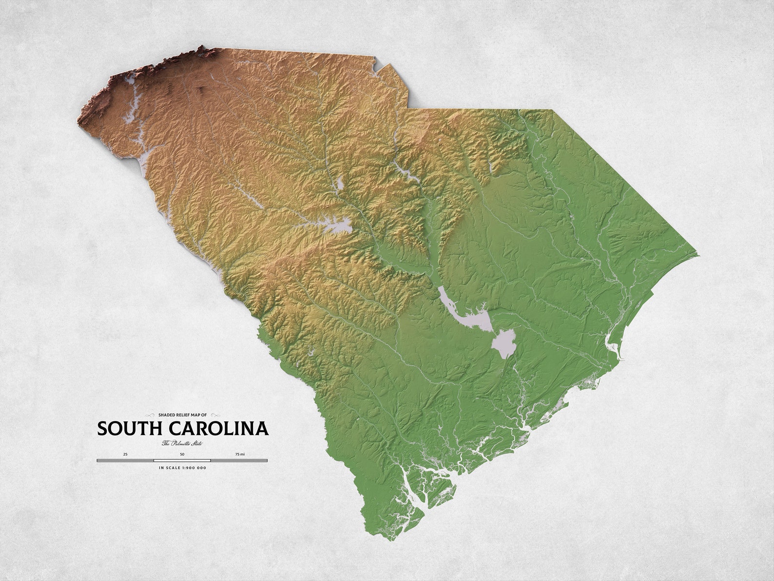 South Carolina Map Poster 3 Options - Etsy