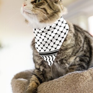 White Cat Dog Pet Keffiyeh Hirbawi Palestinian Pattern Bandana Shemagh ...