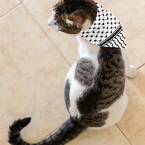White Cat Dog Pet Keffiyeh Hirbawi Palestinian Pattern Bandana Shemagh ...