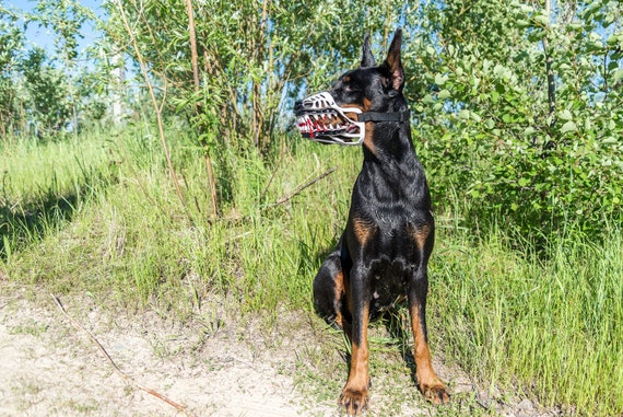Zombie Doberman