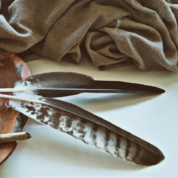 Two Feathers - Etsy
