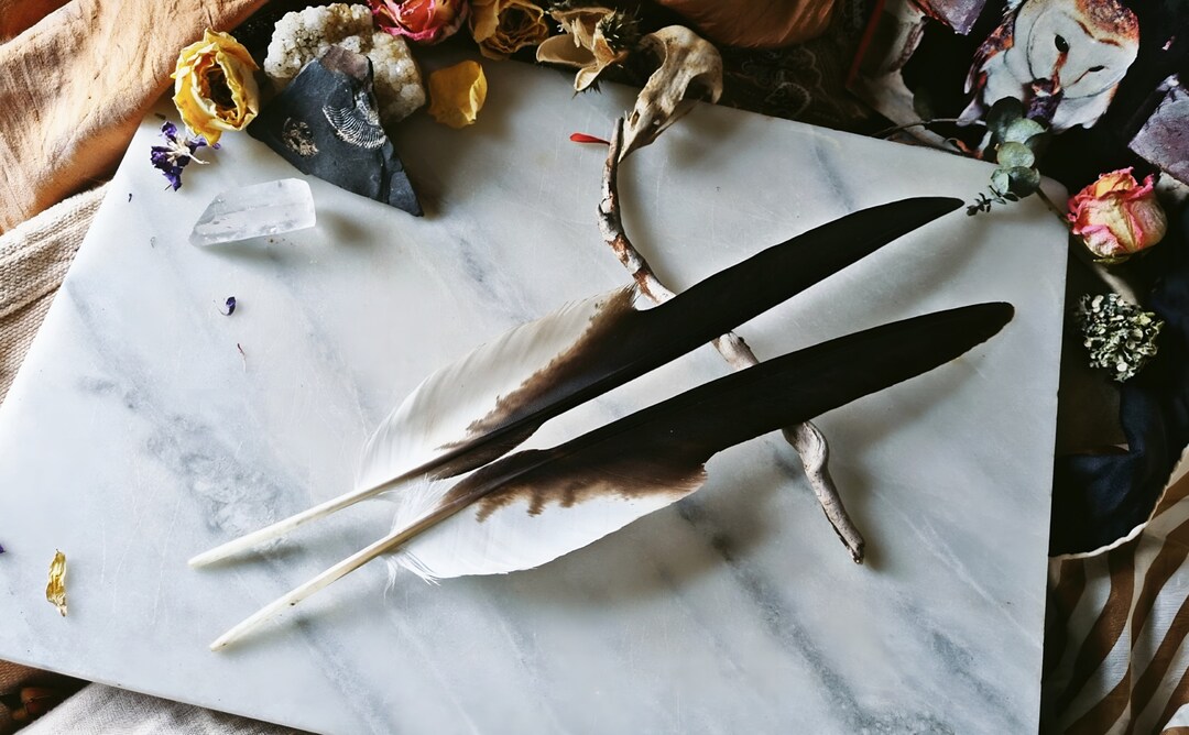 Rare Red Kite Feathers Two Wing Feathers Sacred Feathers - Etsy UK