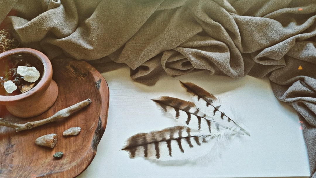 Rare Red Kite Feather, Bird of Prey Tailsman, Rare Feathers for the ...