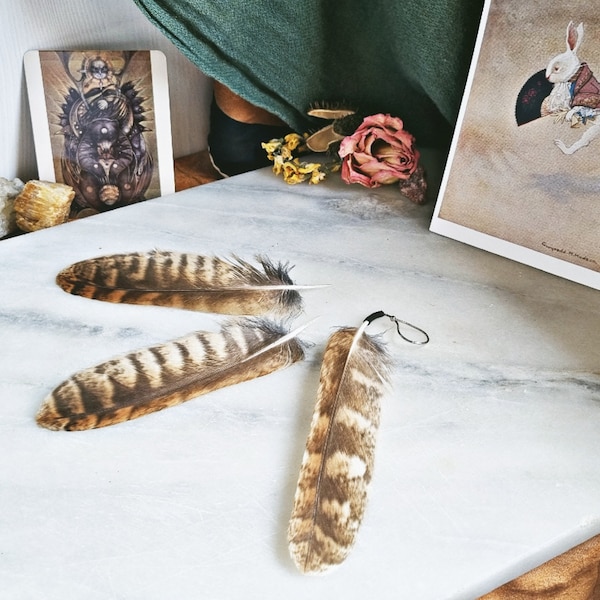 Feather Hat Pin - Etsy