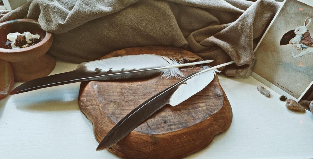 Hawk Wing Feather, Common Buzzard Feather, Ceremonial Feathers, Animal ...