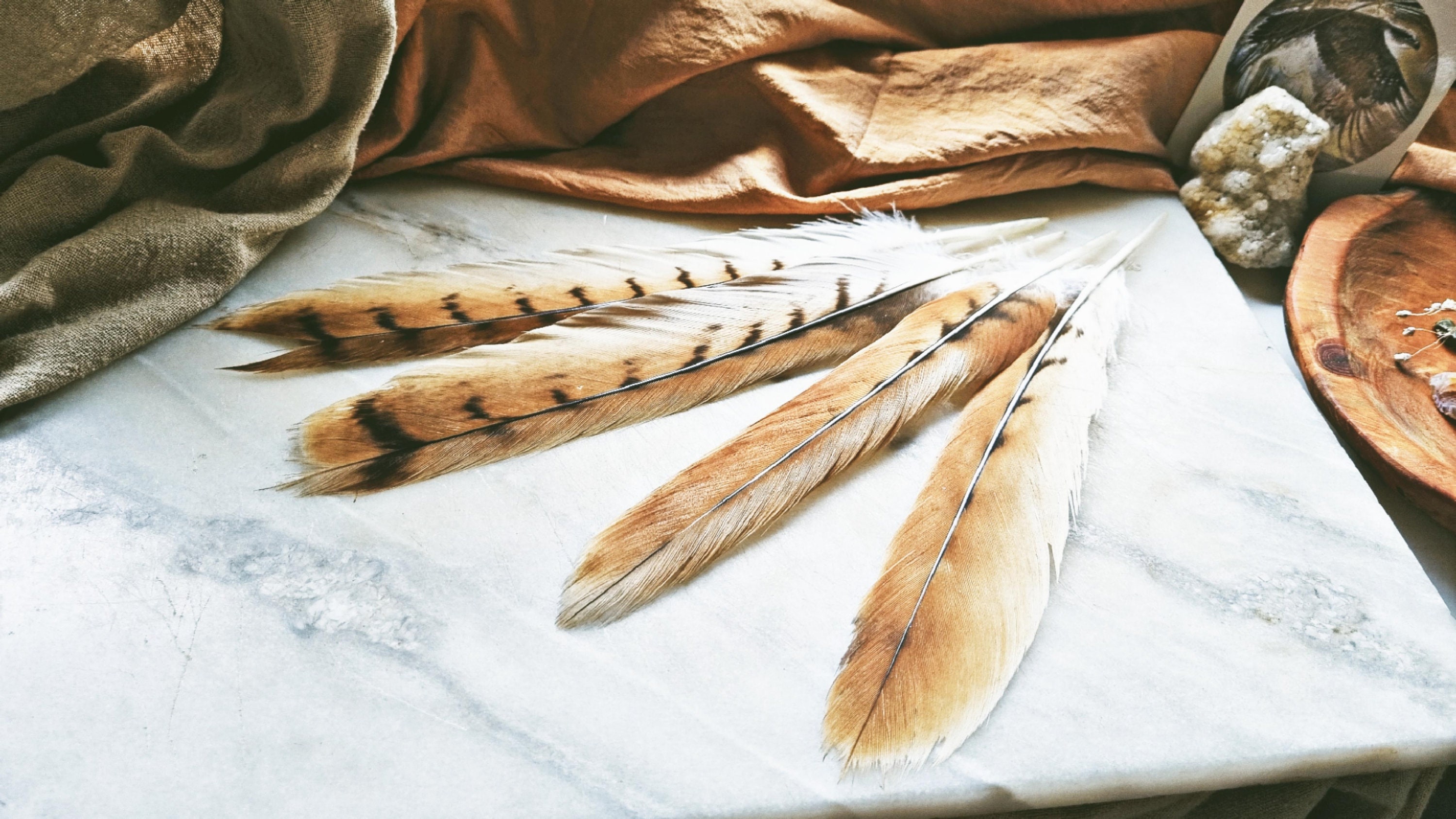 One Red Kite Tail Feather, Sacred Healing Tools, Tail Feather, Bird of ...