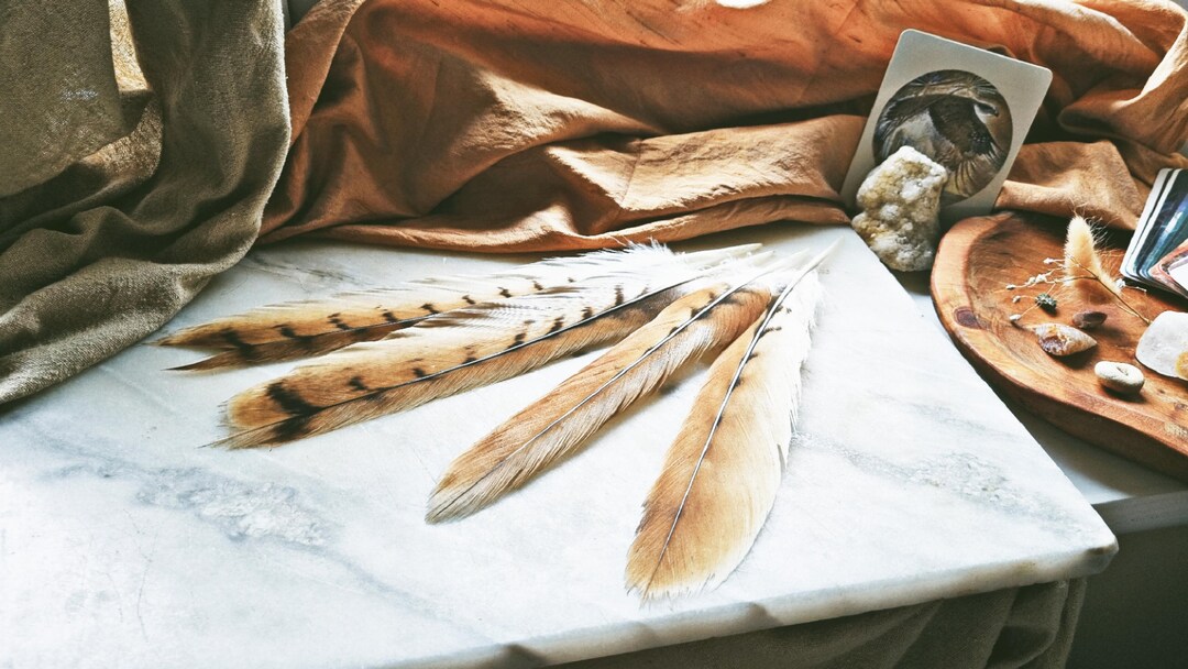 One Red Kite Tail Feather, Sacred Healing Tools, Tail Feather, Bird of ...
